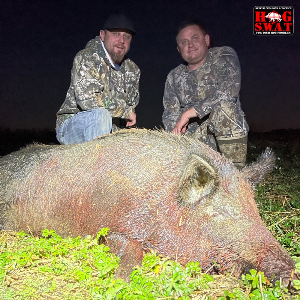 Wild Hog Hunting — Hog S.W.A.T. Guided Night Hog Hunt - Southwest ...