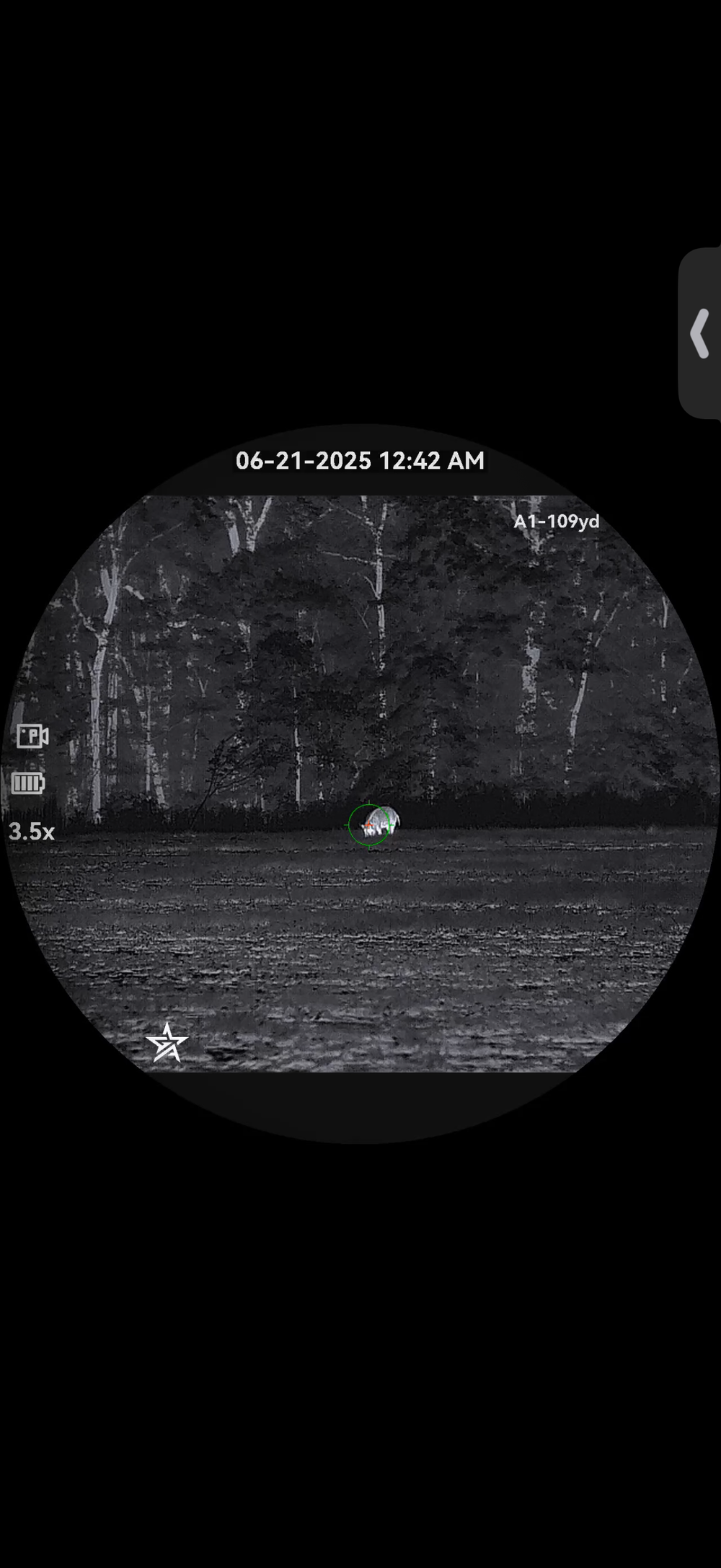 Why Thermal for Hog Hunting | Night Vision vs Thermal Explained