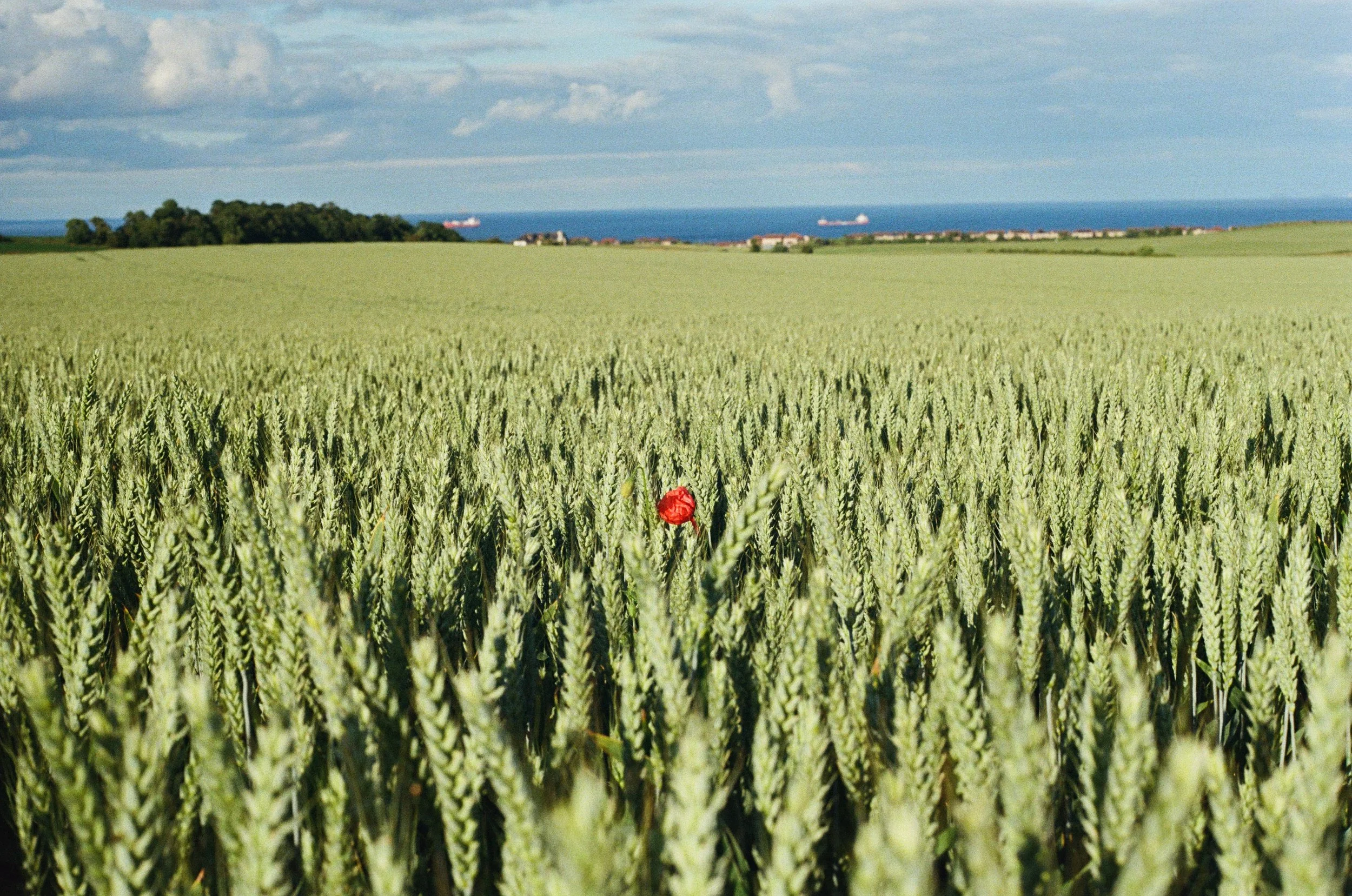 SOLUS — CAROLINE PINNEY