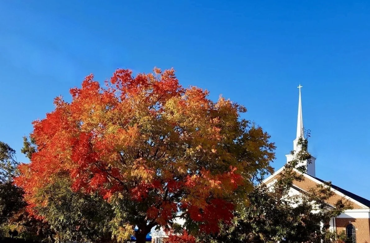 Wickline Church of the Vine