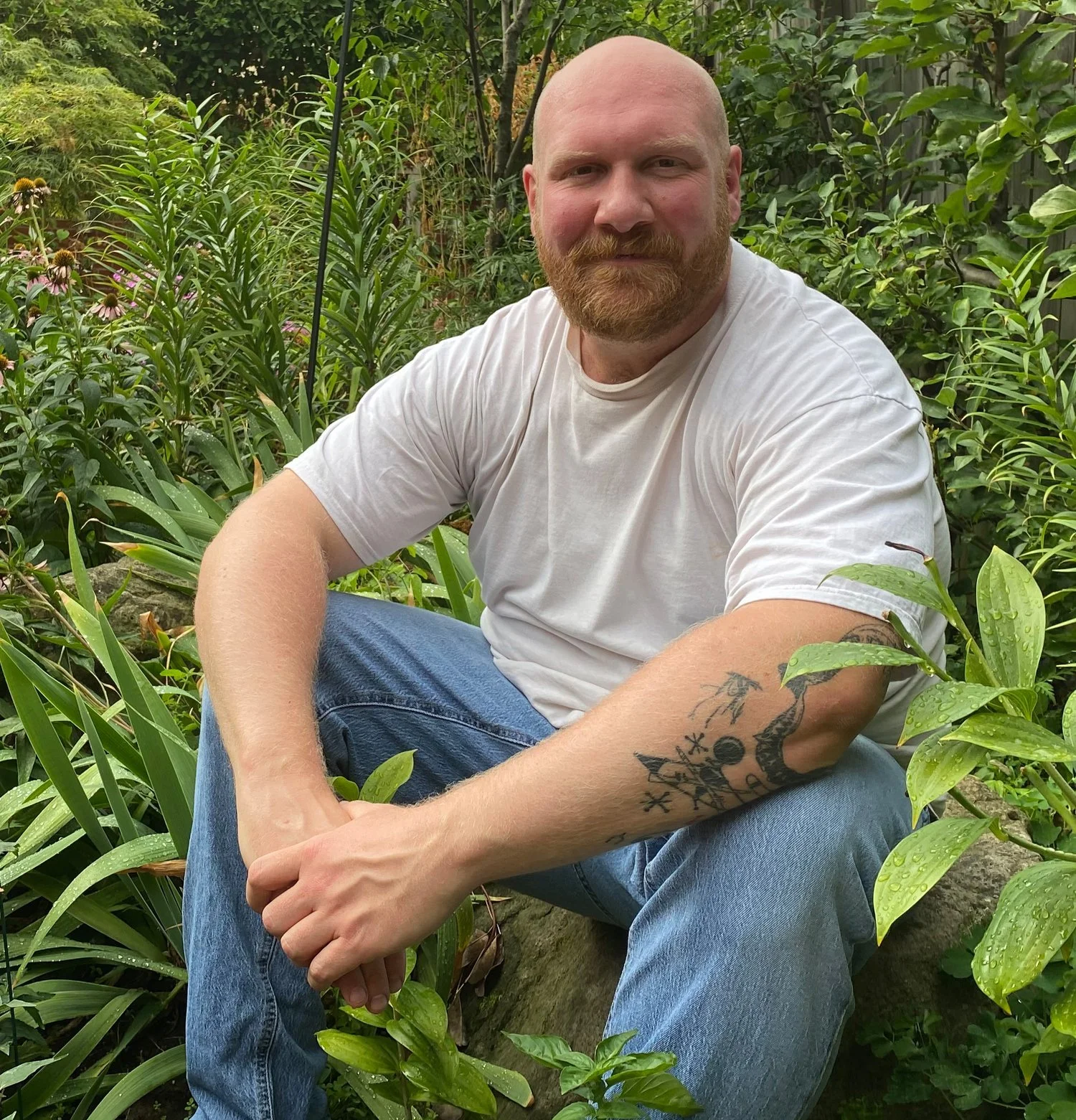 About — David Tabbert