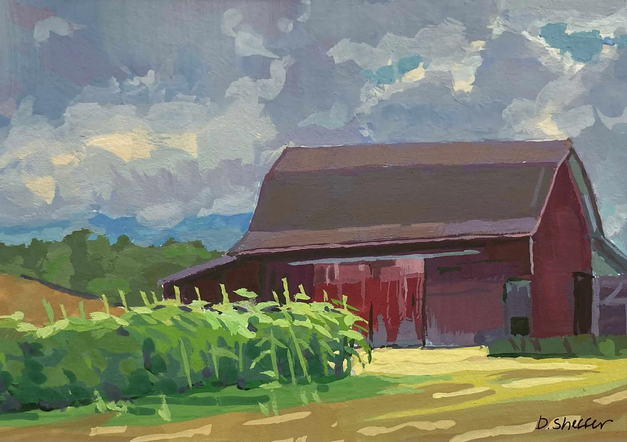 PORTFOLIO — Debra Sheffer Artist