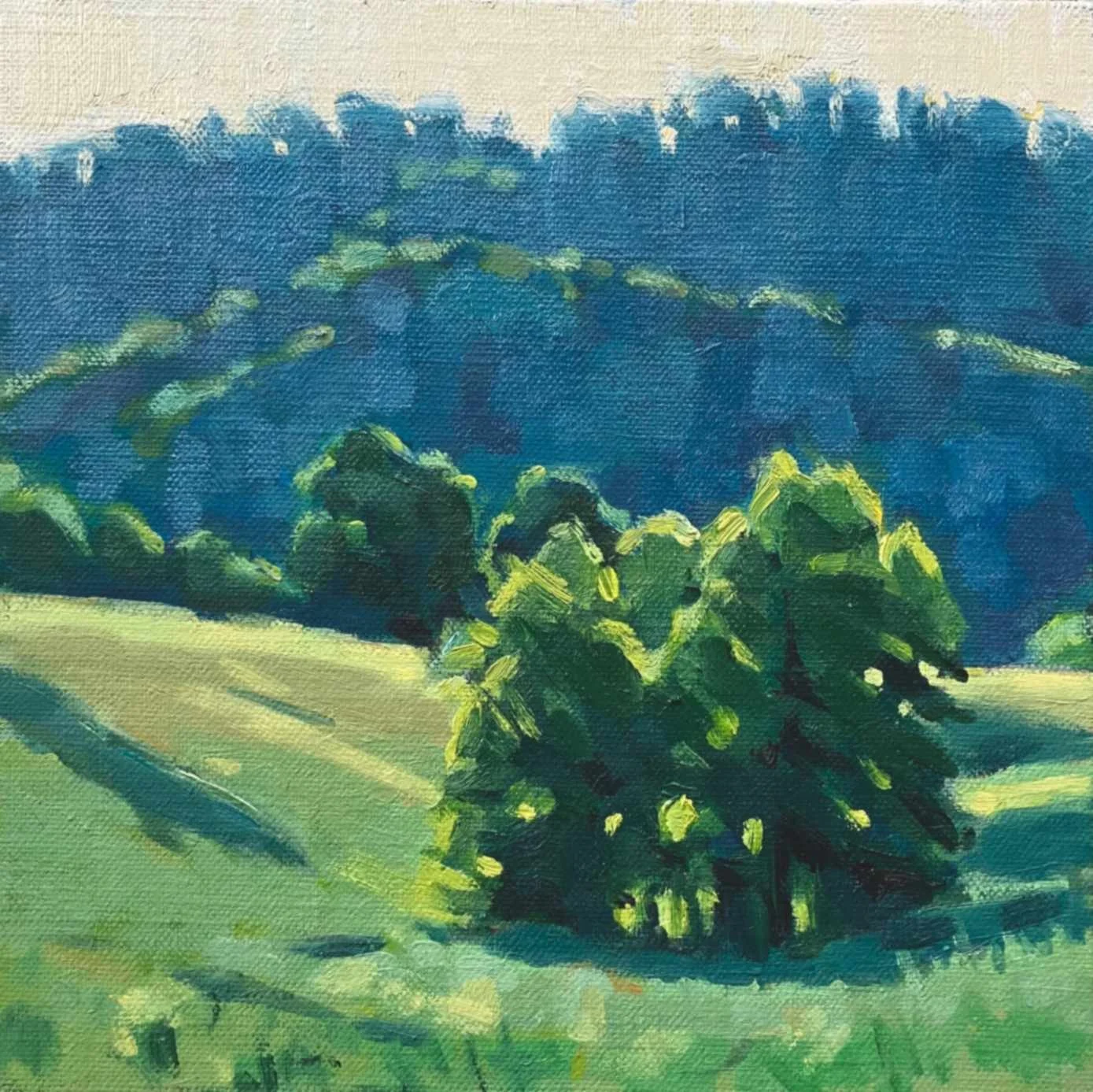 PORTFOLIO — Debra Sheffer Artist