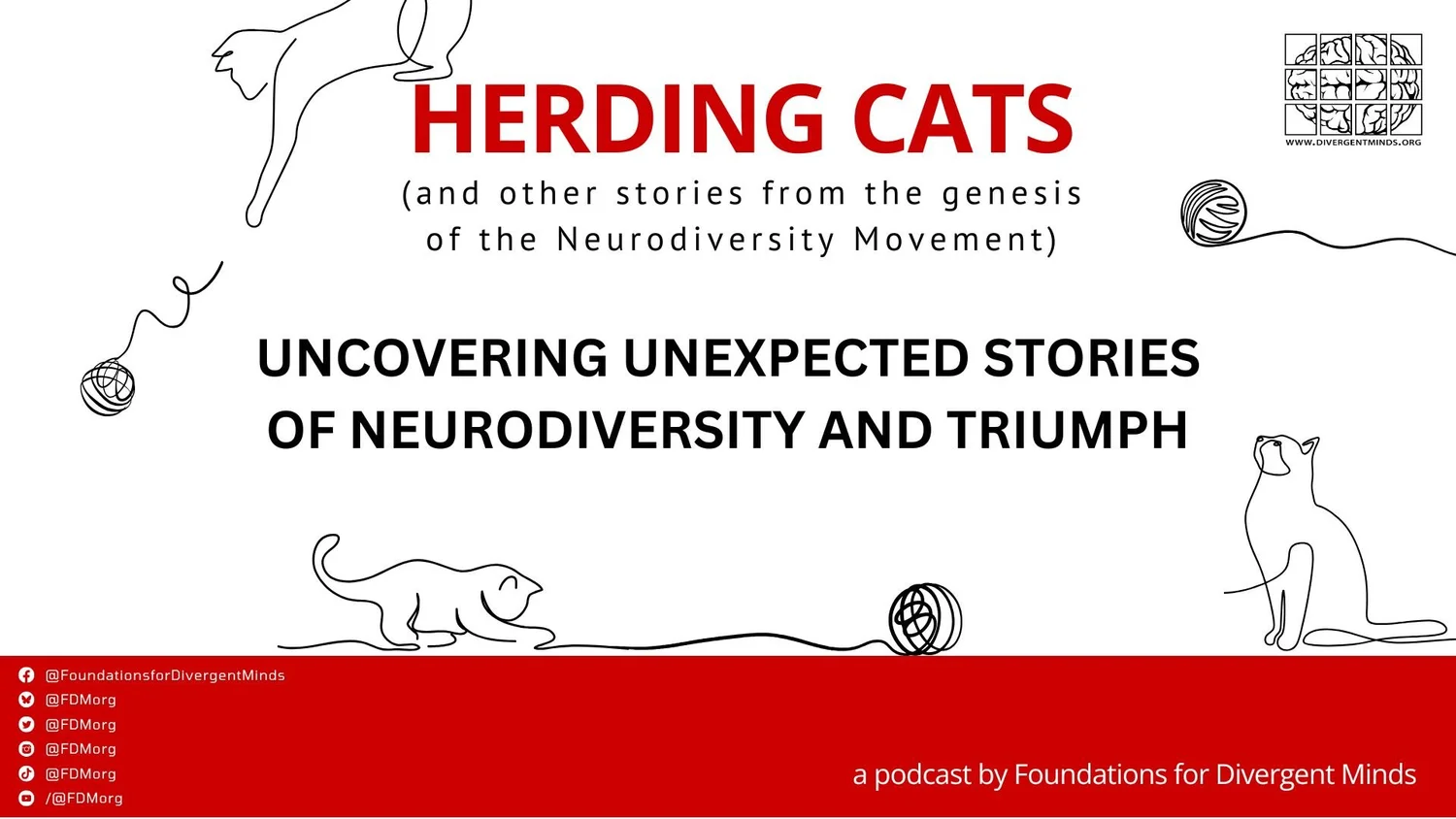 Herding Cats — Brilliant Beam Media