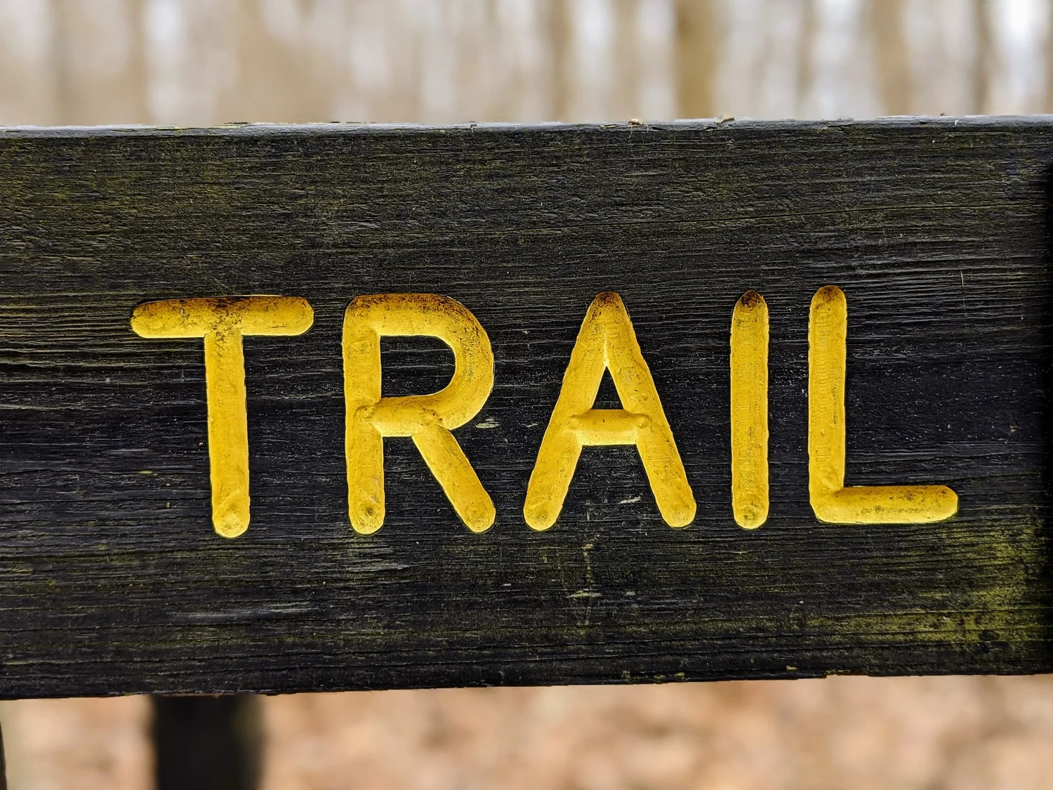 Allegheny Trail