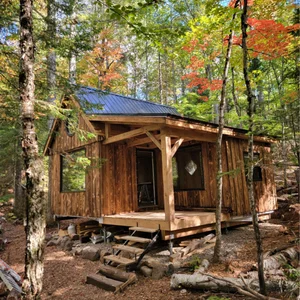 Timber Bunkies — Timber Bunkies