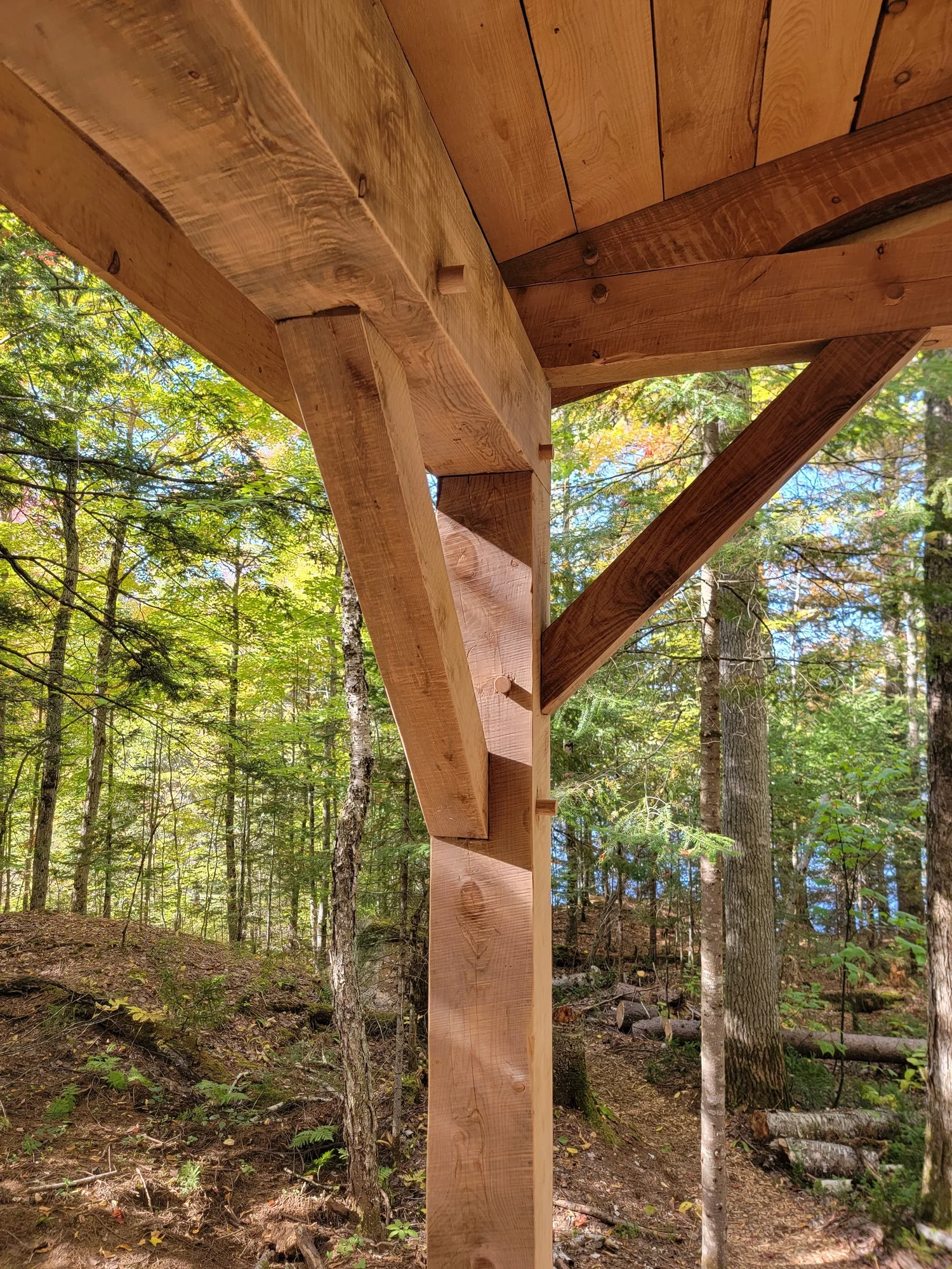 Gallery 1 — Timber Bunkies
