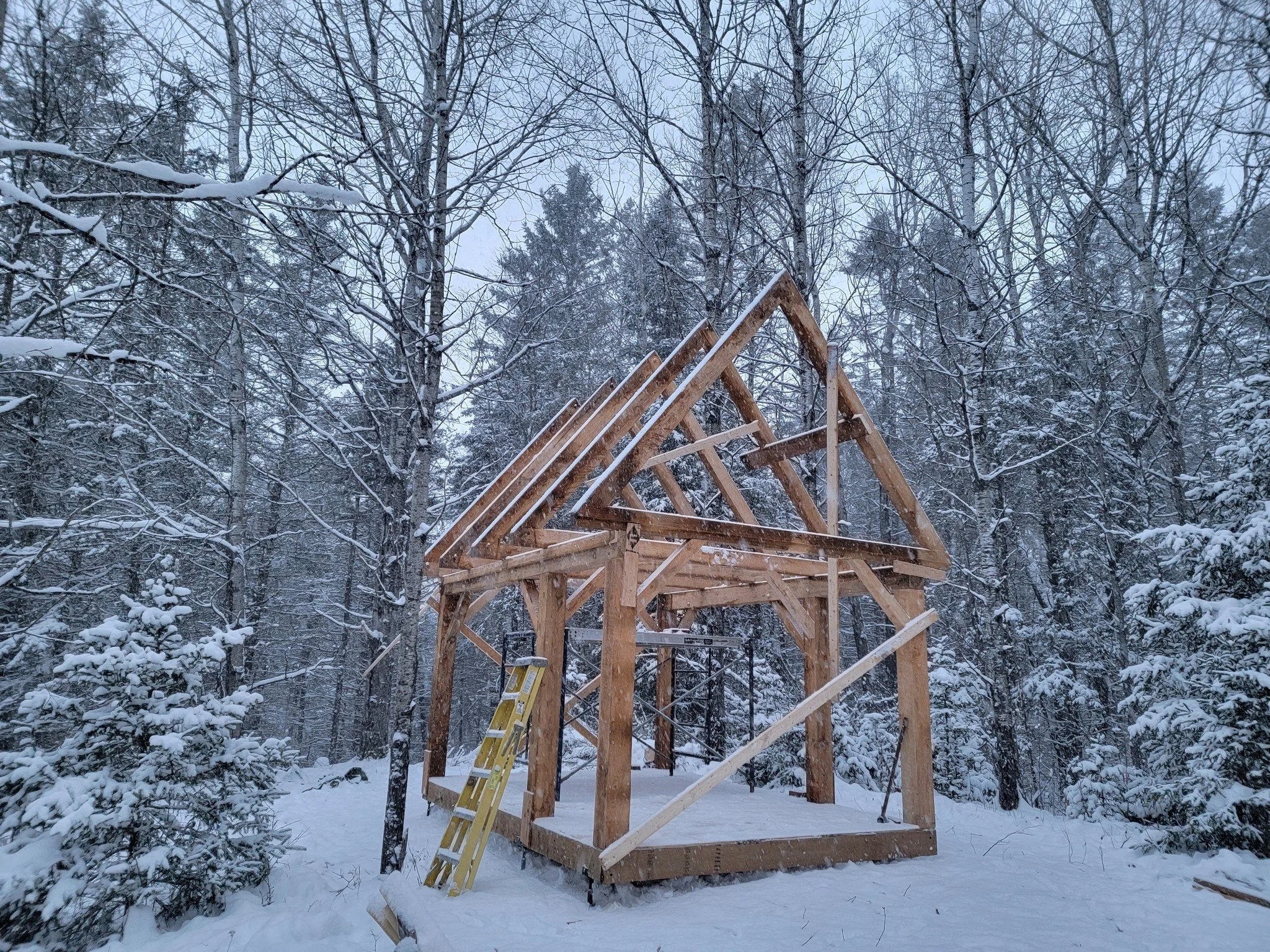 Gallery 1 — Timber Bunkies