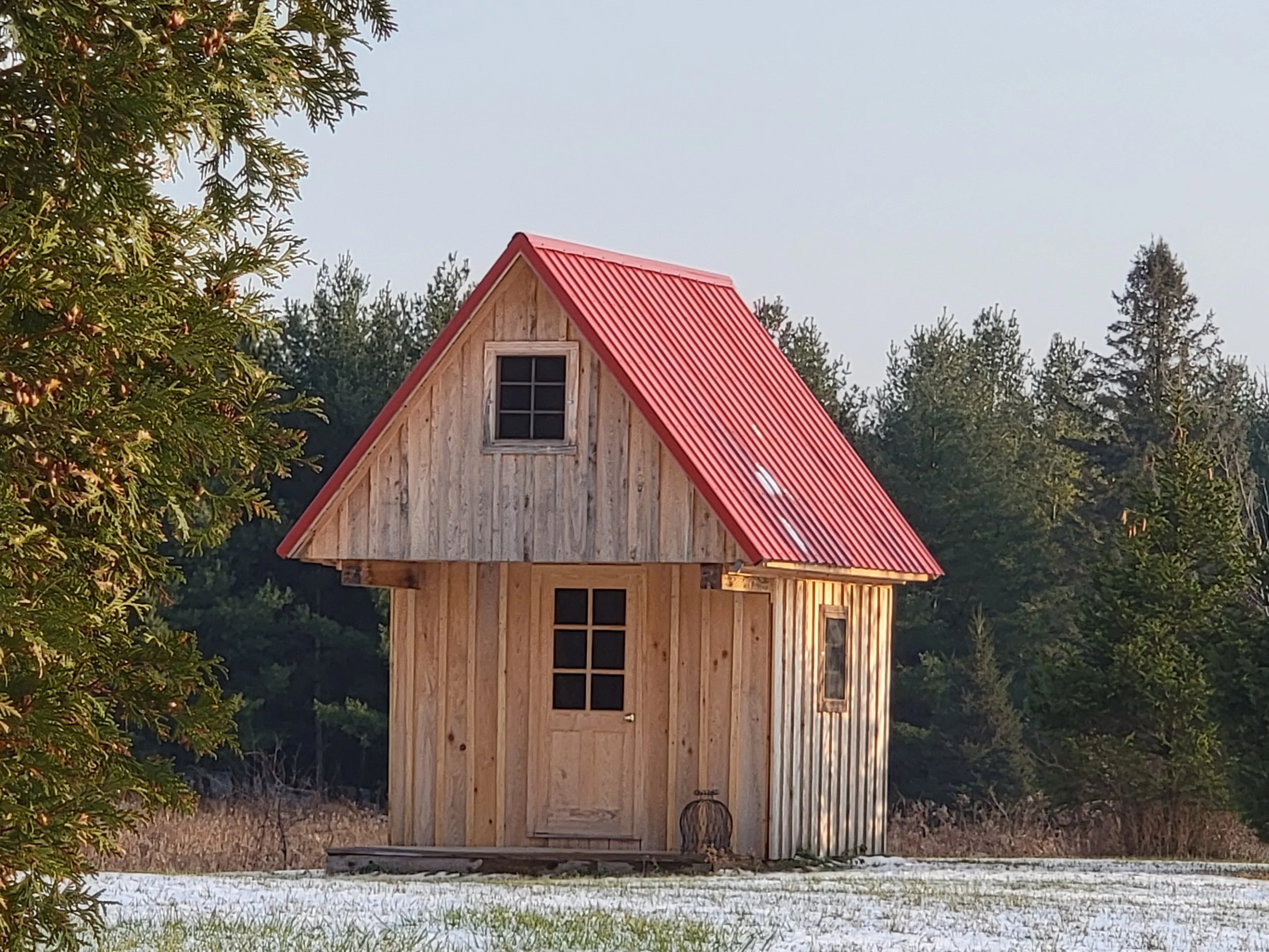 Timber Bunkies — Timber Bunkies