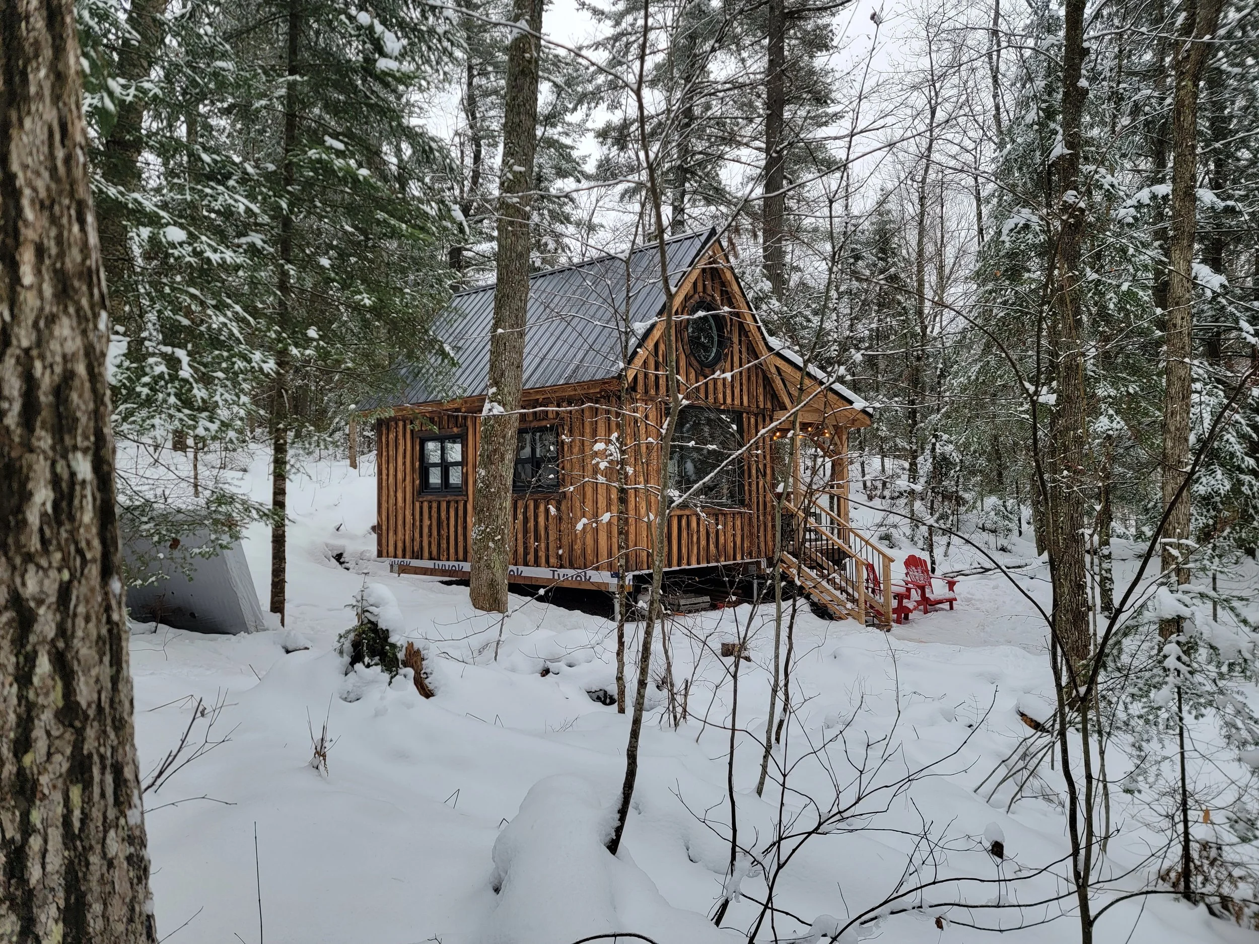 Gallery 1 — Timber Bunkies