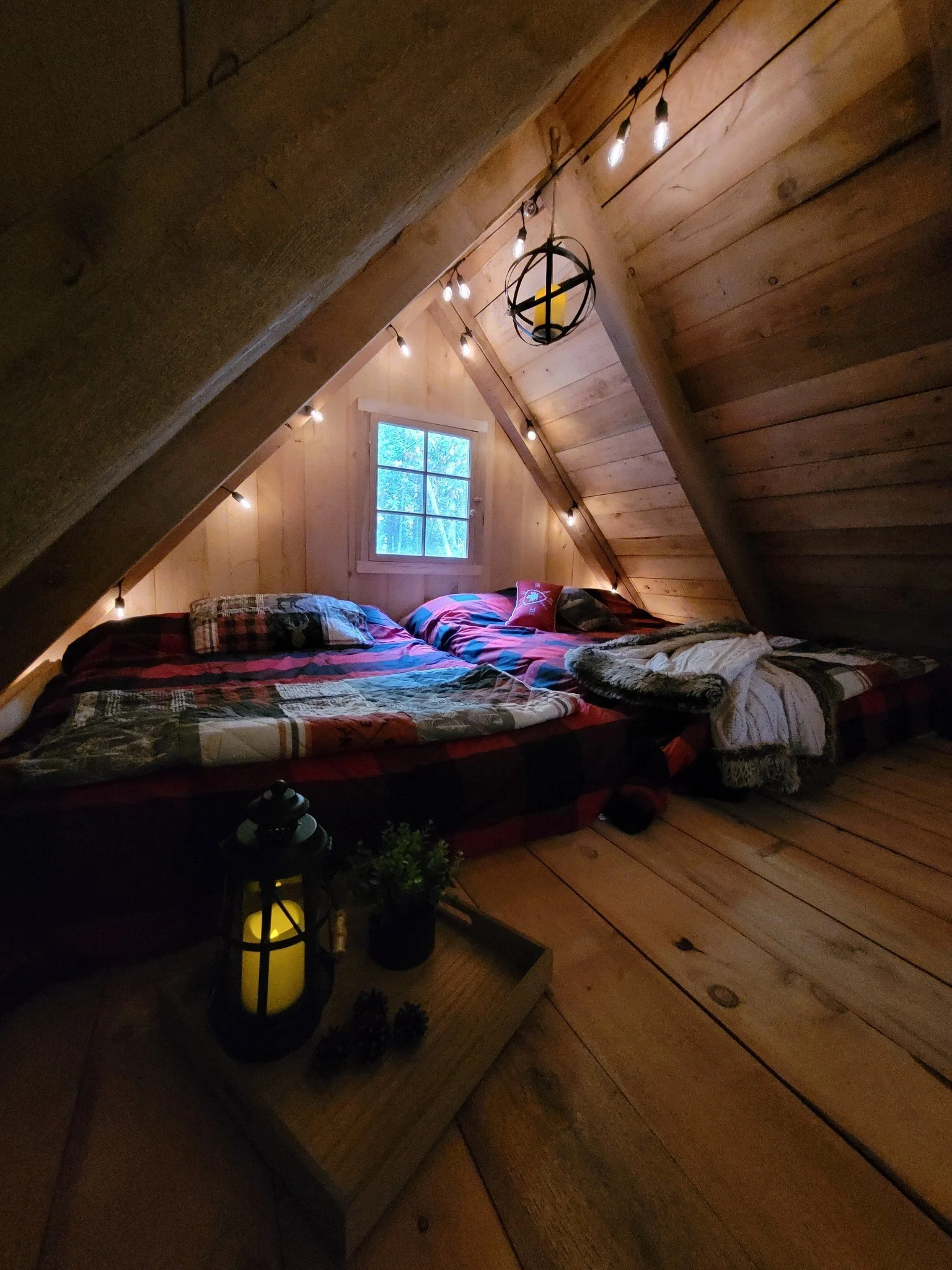 Timber Bunkies — Timber Bunkies