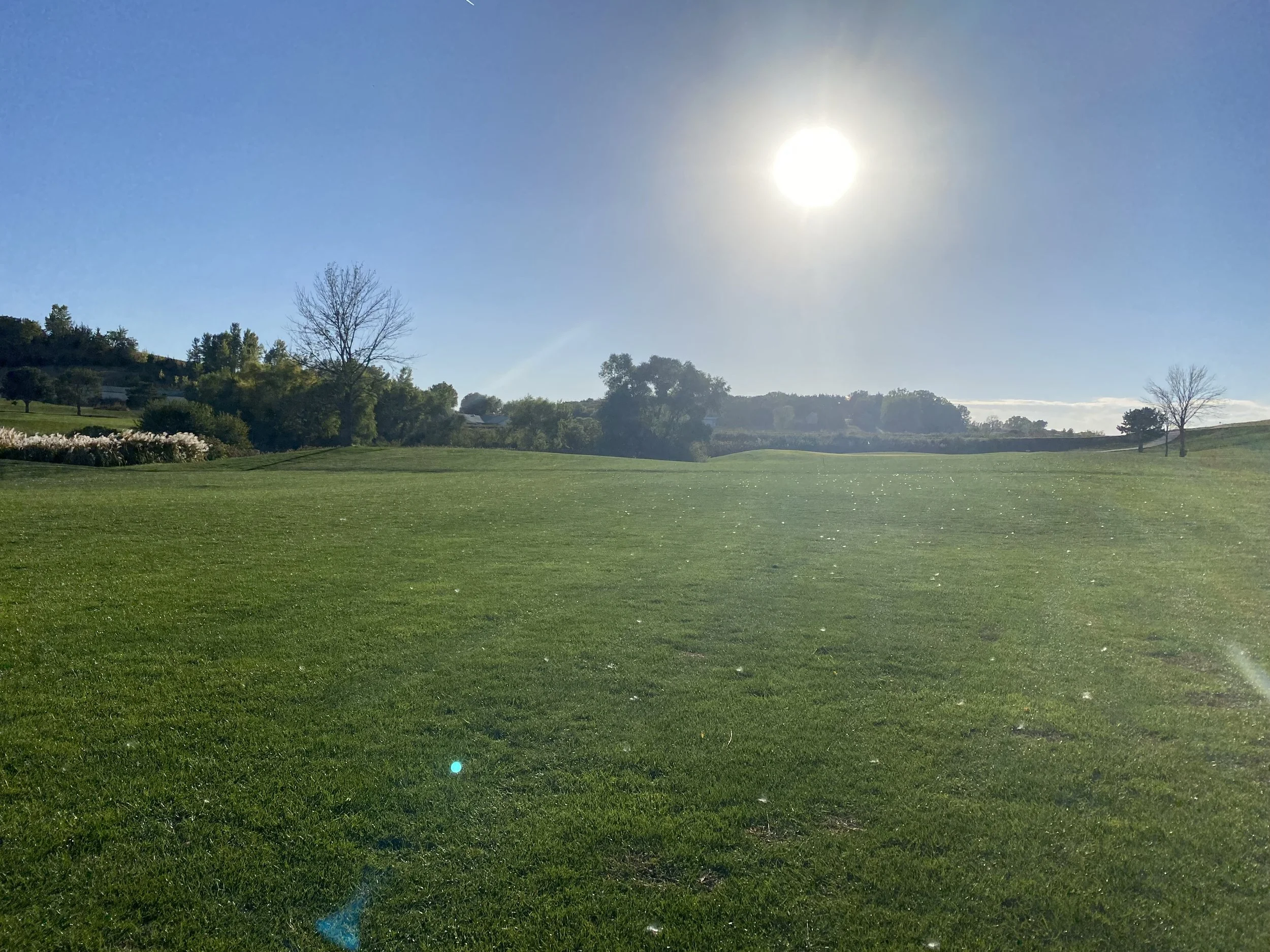 WOODBINE GOLF COURSE