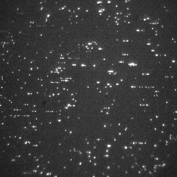 Shixin Liu Lab
