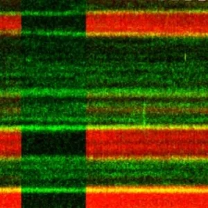 Shixin Liu Lab