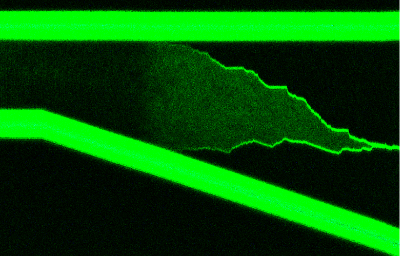 Shixin Liu Lab