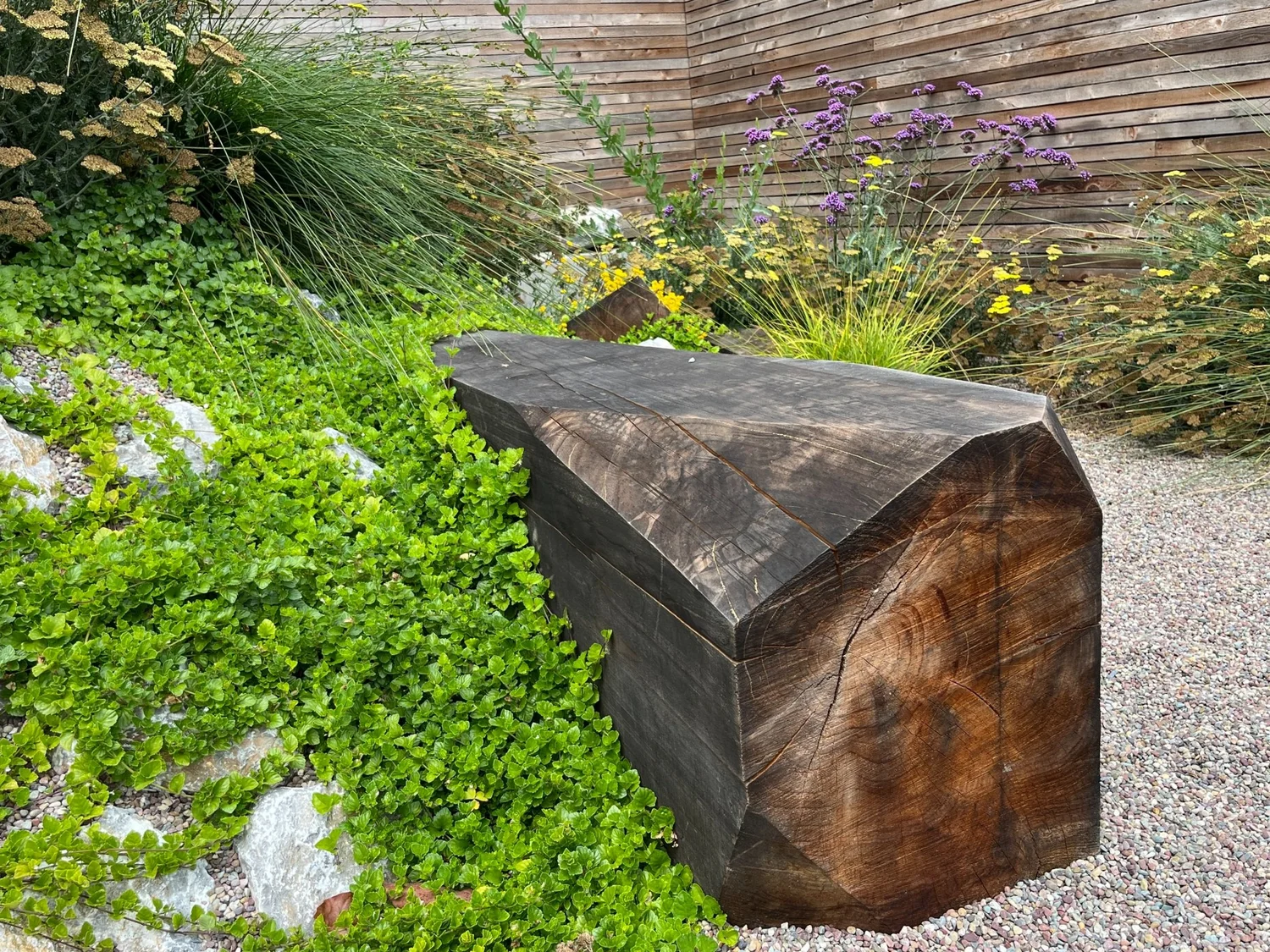 Arbutus Rising - Studio Moonya