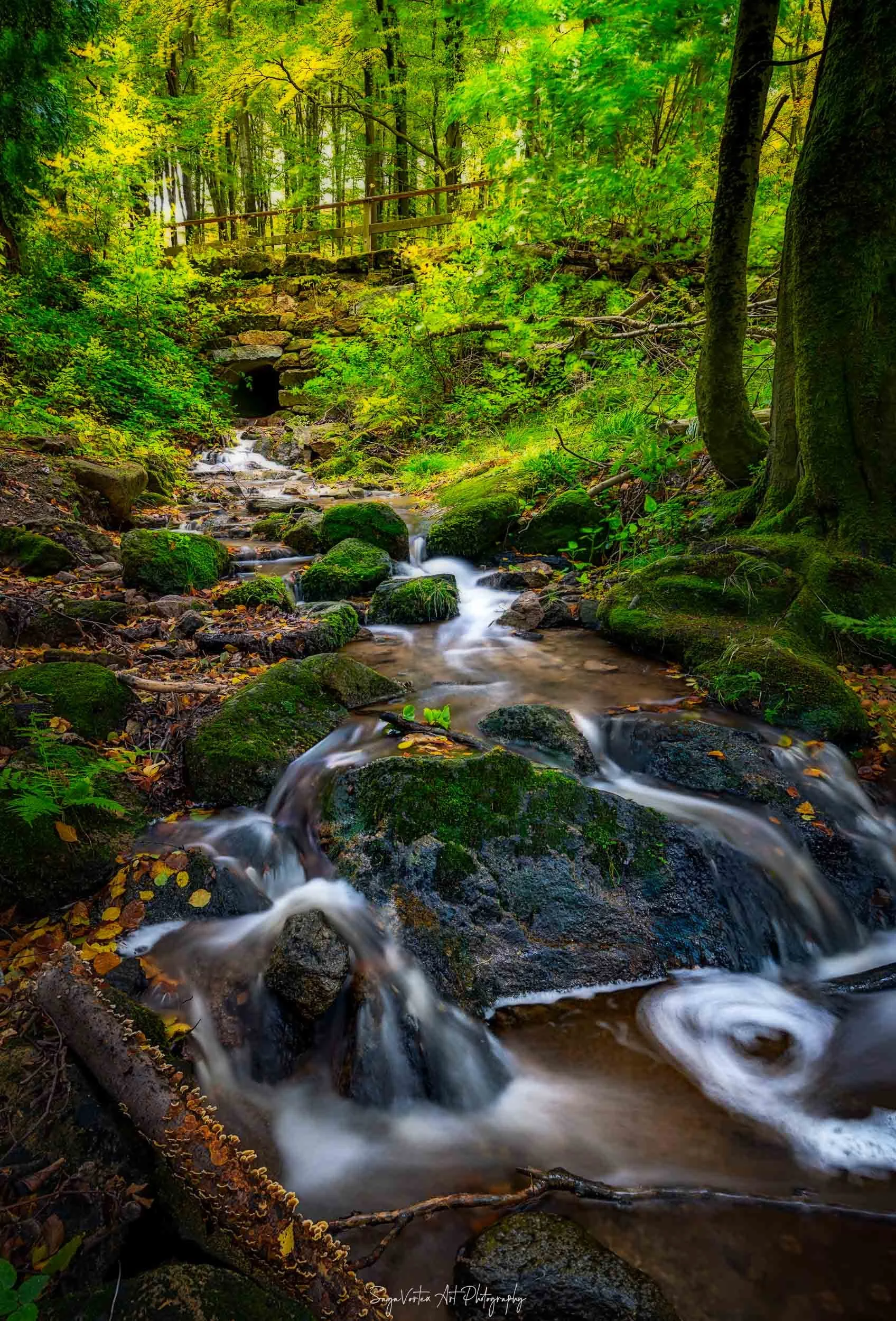 Silent stream in the forest 💚 — SagaVortex Art Photography