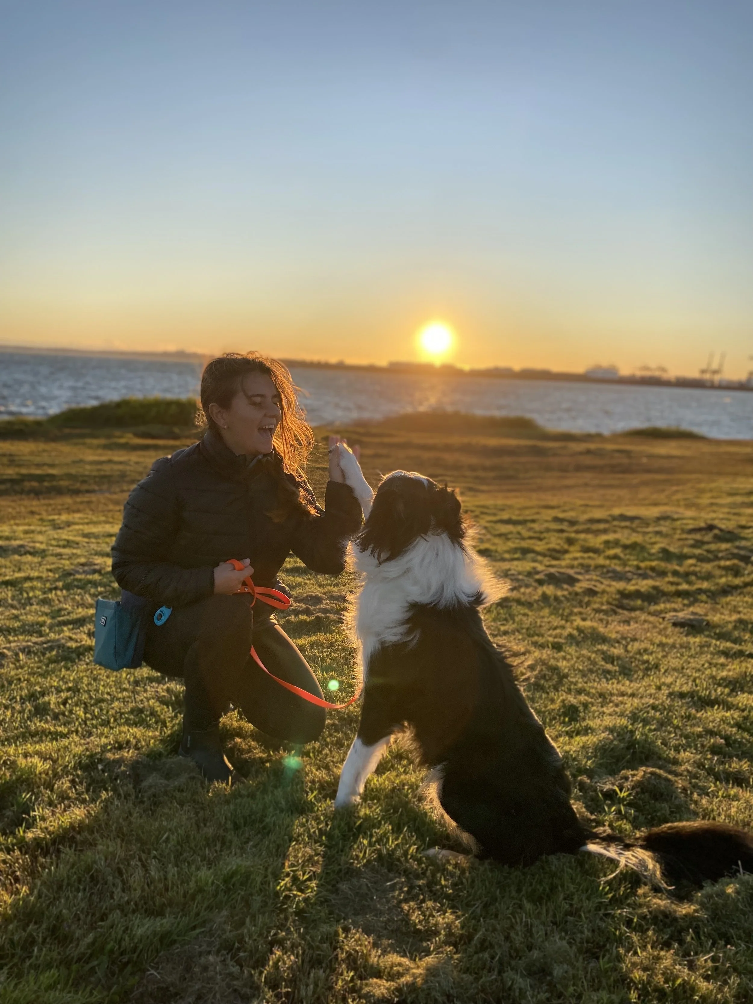 Happy Chappy Dog Training