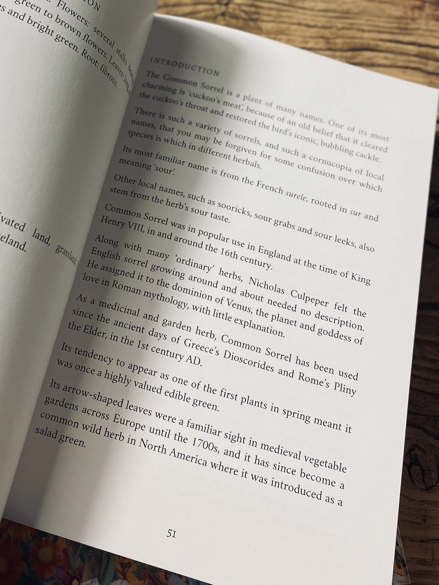 The Lost Words — CRAFTMONGERS
