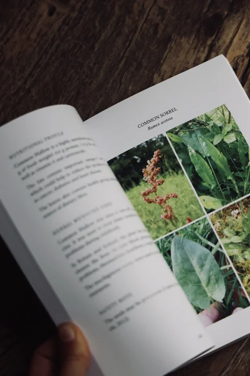 The Lost Words — CRAFTMONGERS
