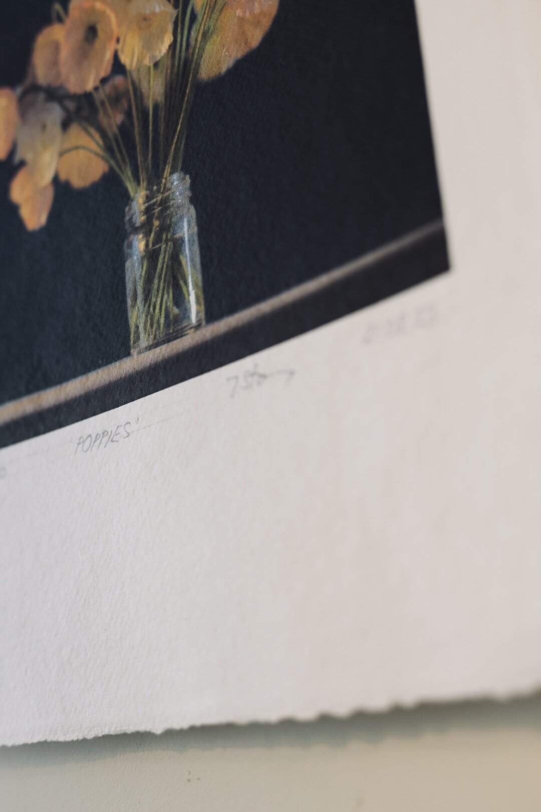 Ley's Nature Etchings — CRAFTMONGERS