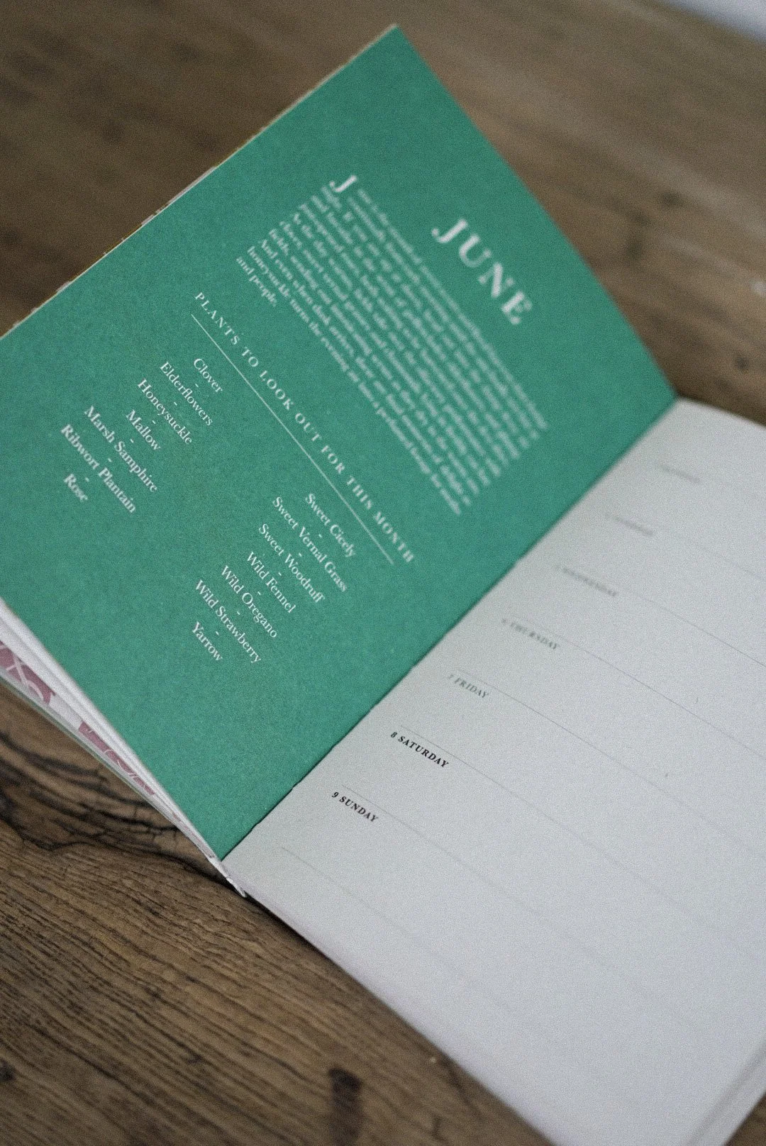 Allison Sylvester Cards — CRAFTMONGERS