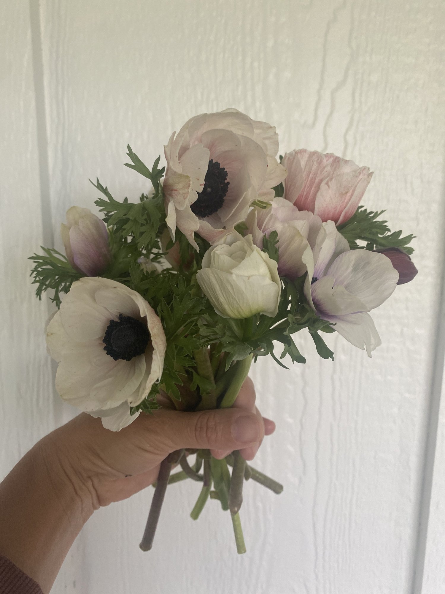 Store — One Wild Flower Farm