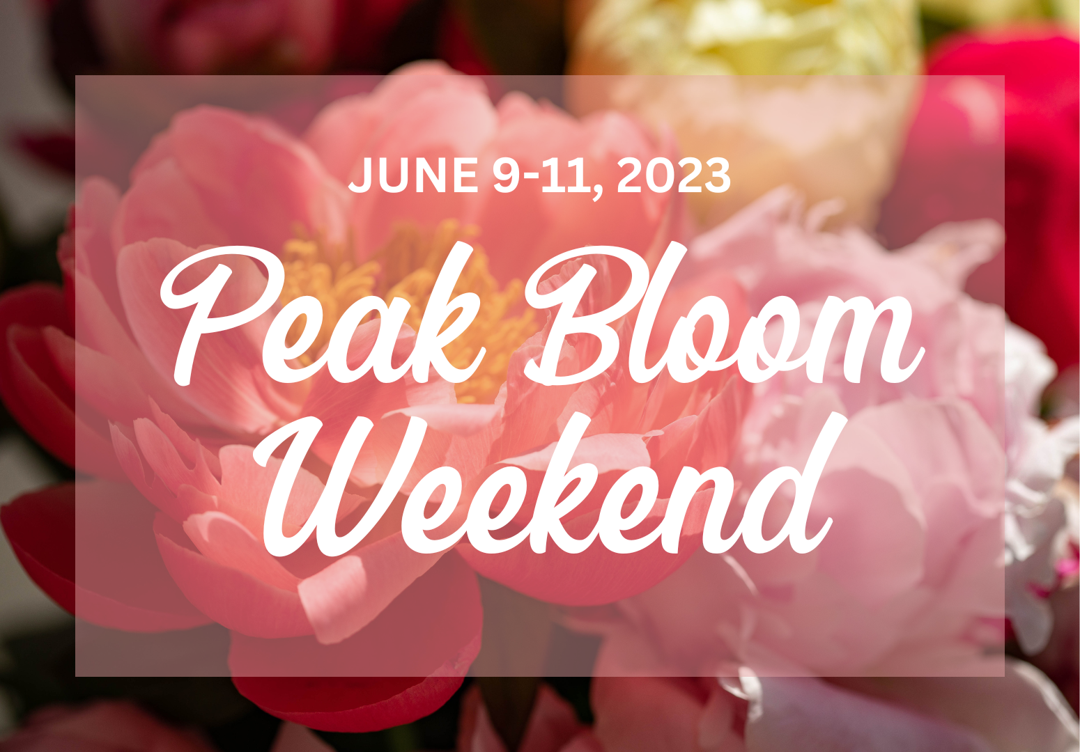 Upcoming Events — Hidden Springs Peony Farm