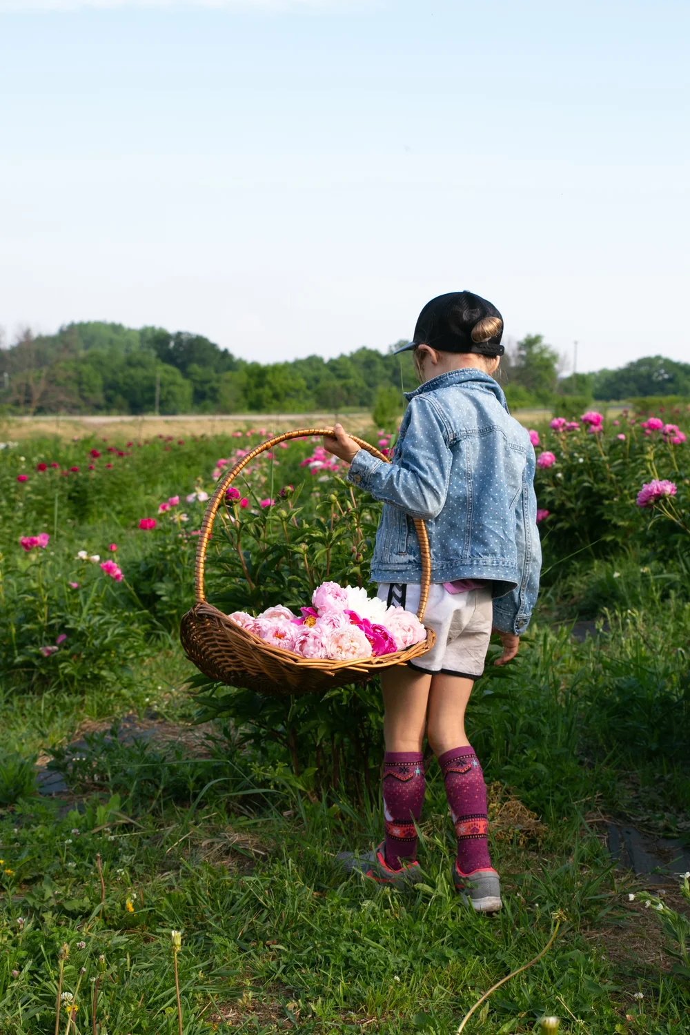 About the Farm — Hidden Springs Peony Farm