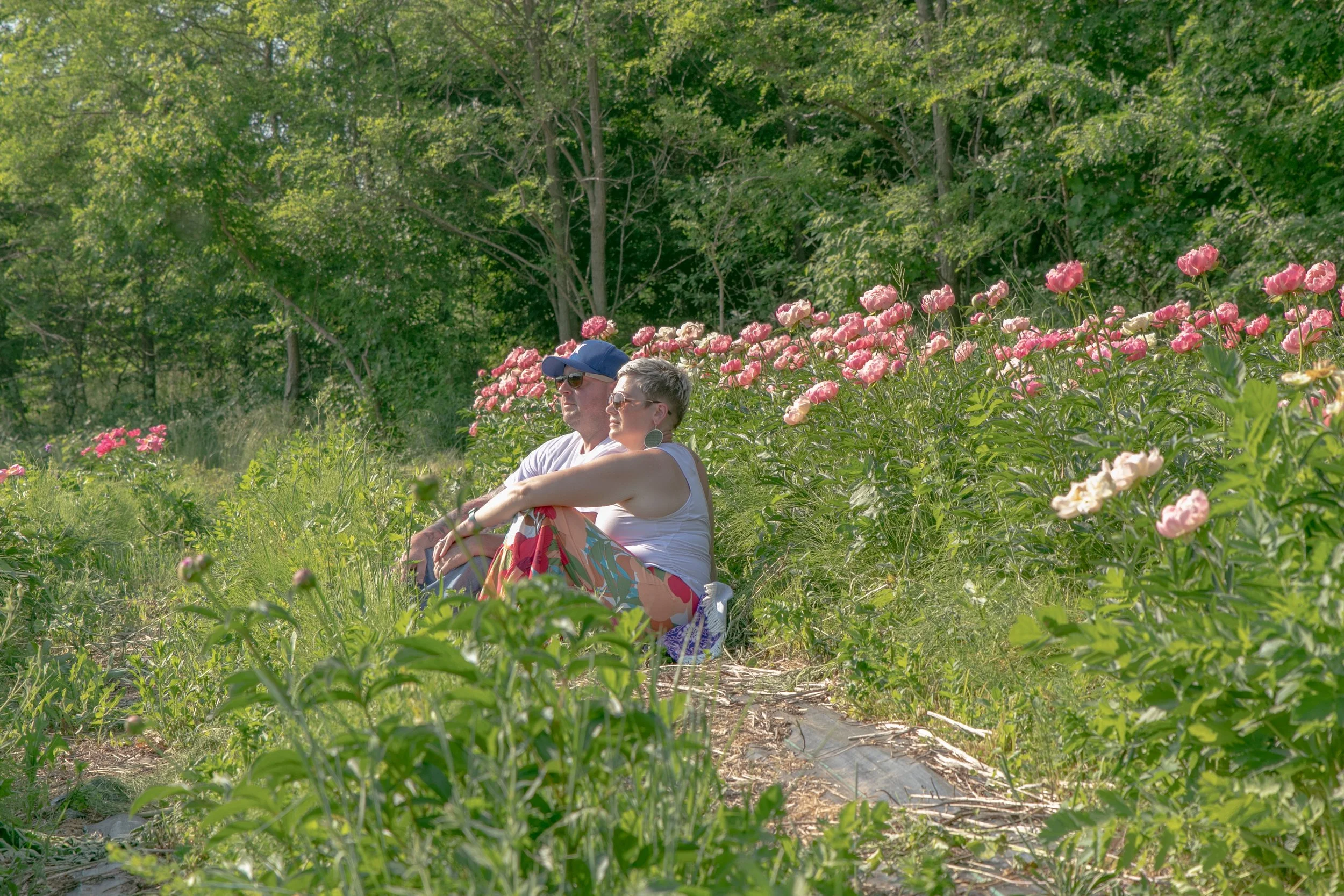 Activities at the Farm - Hidden Springs Peony Farm — Hidden Springs ...