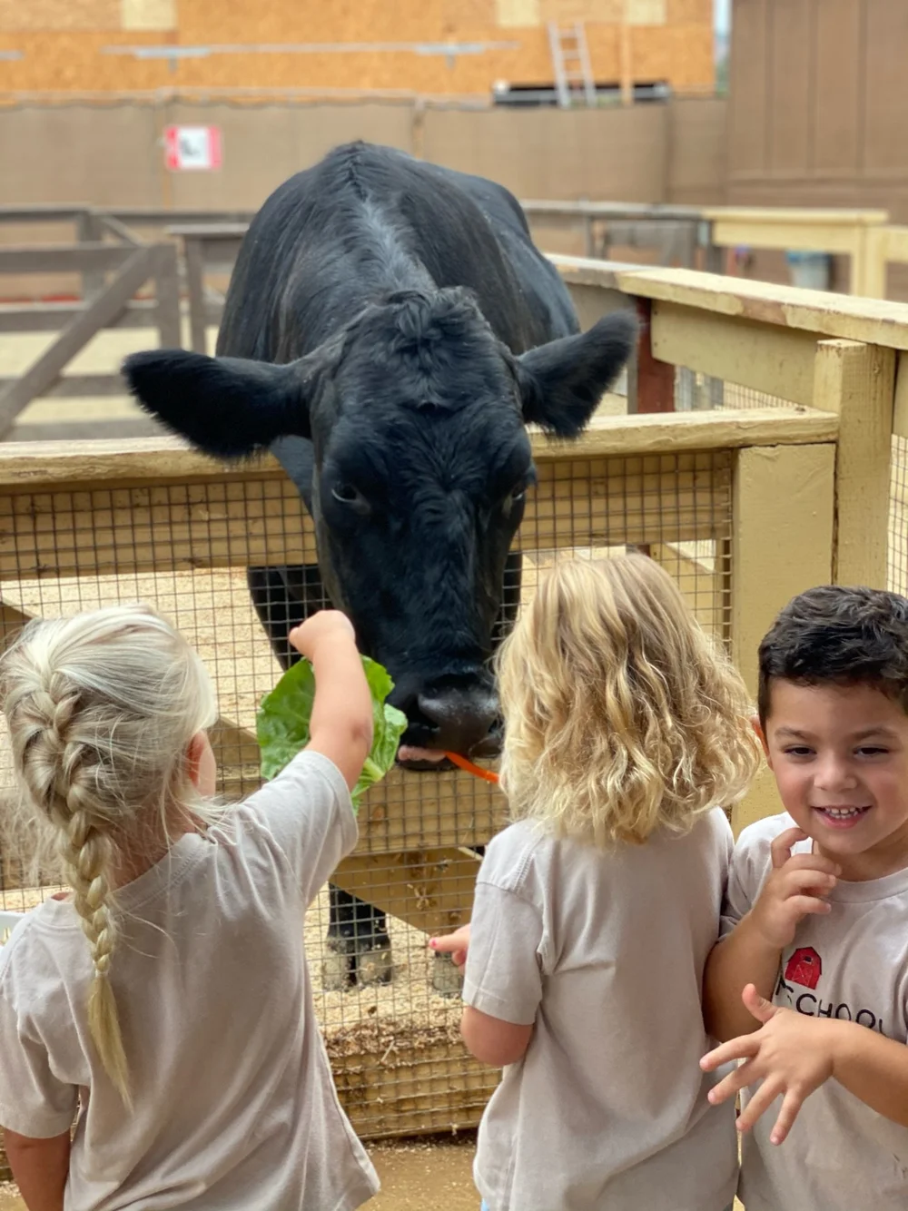 Farm School OC