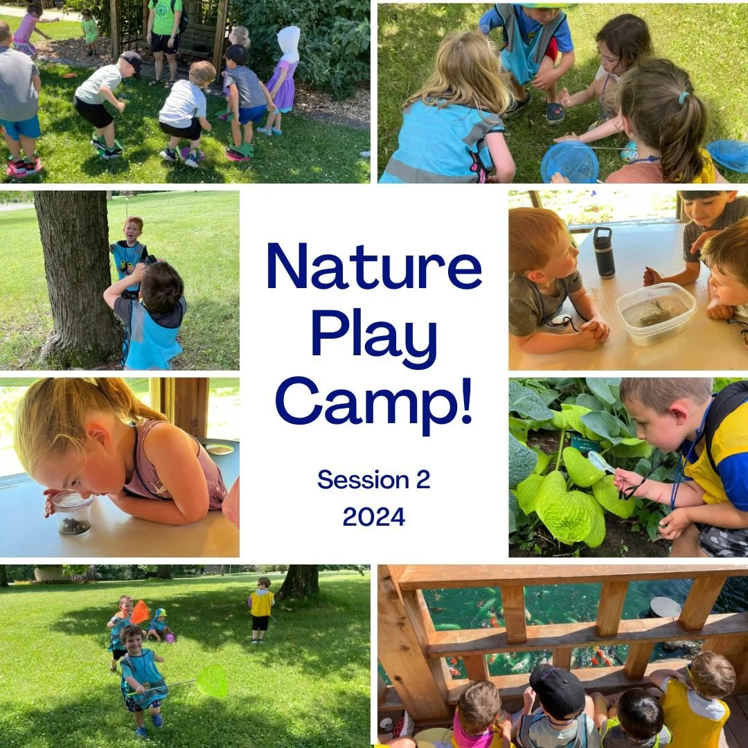 About — Dandelion Discoveries Nature School