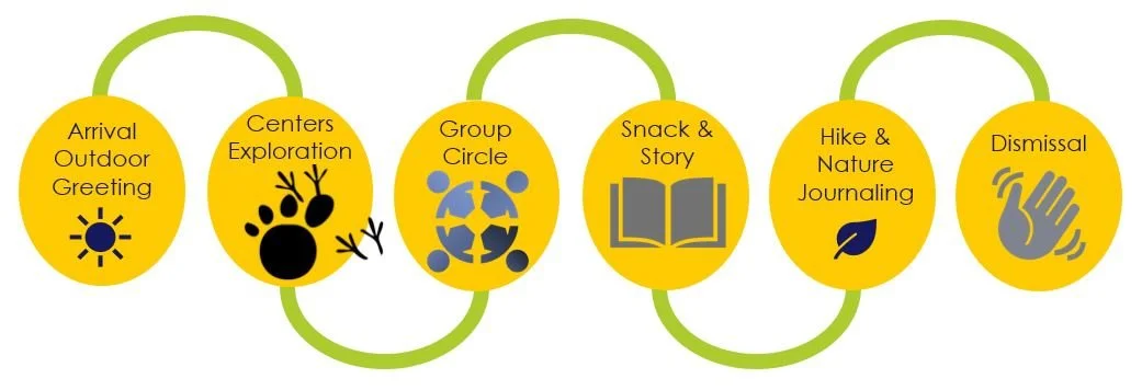 Programs — Dandelion Discoveries Nature School