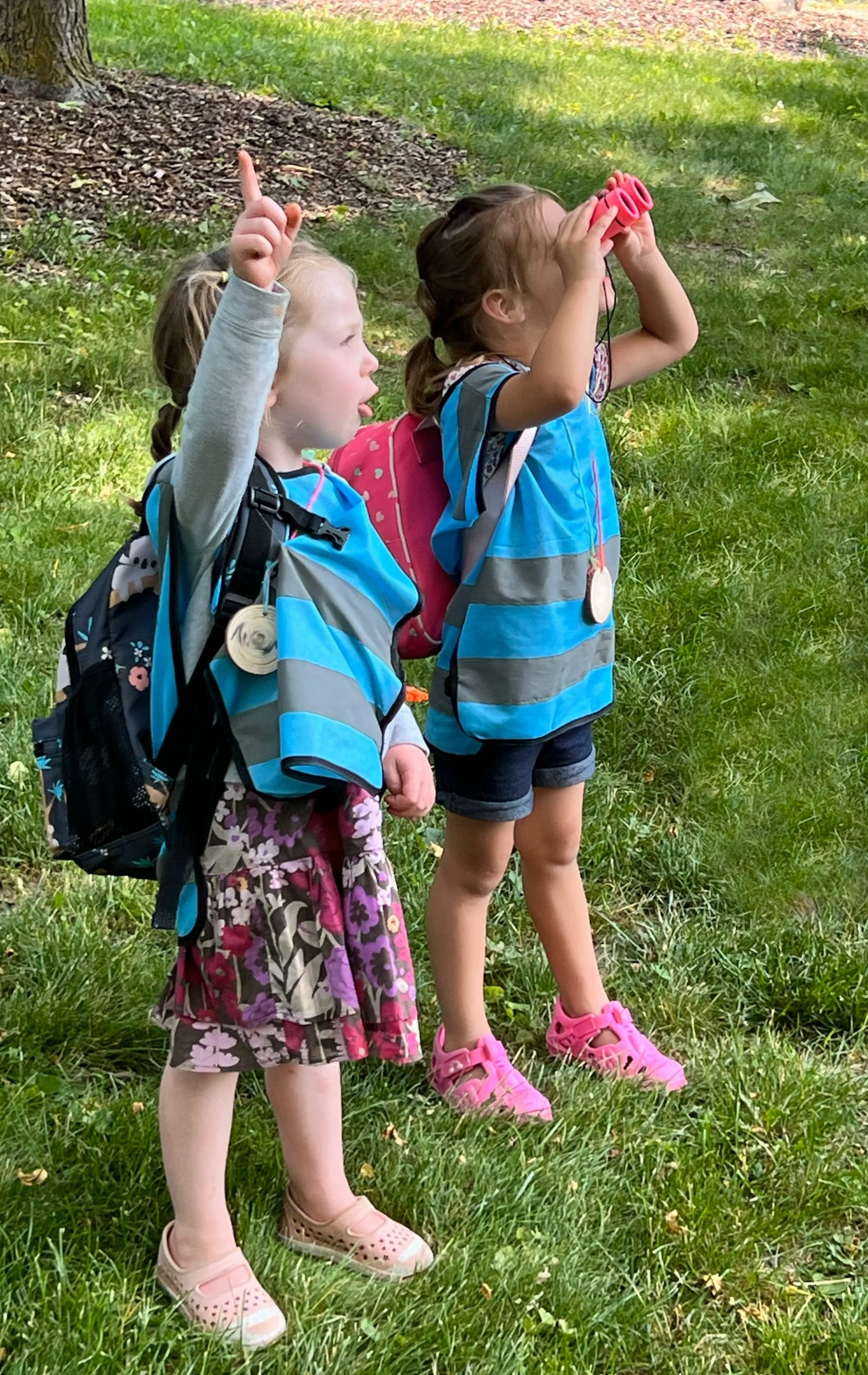 Programs — Dandelion Discoveries Nature School