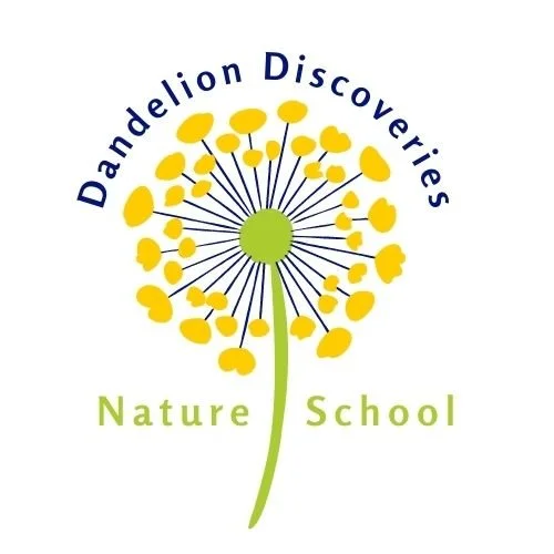 Programs — Dandelion Discoveries Nature School