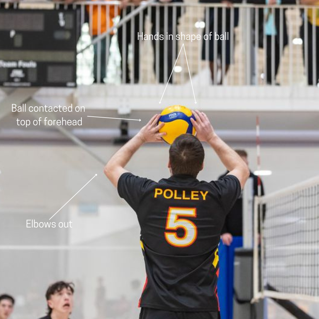Setting — Volleyball Waikato