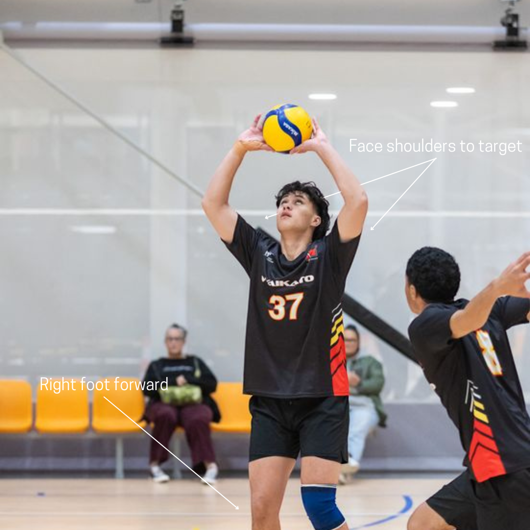 Volleyball Player Setting