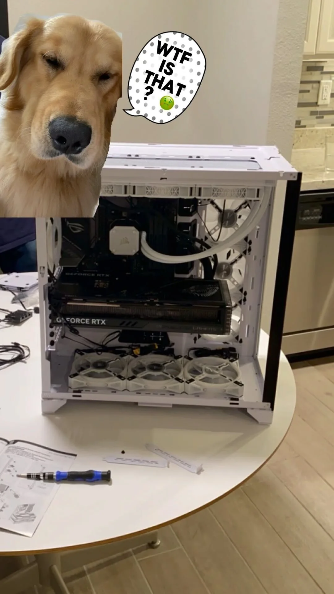 Evolution Gaming & Repair