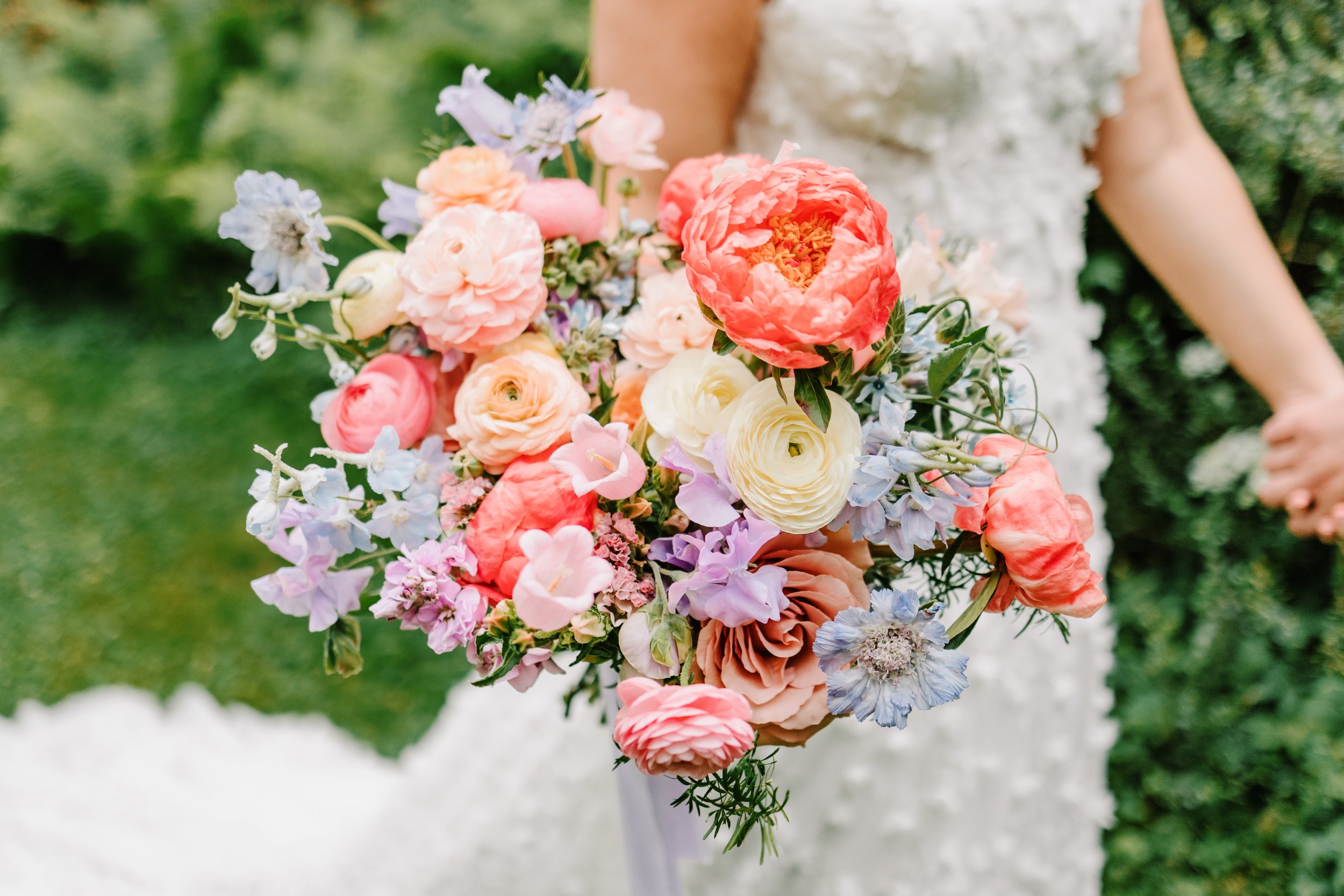 Portfolio — Blushing Fields