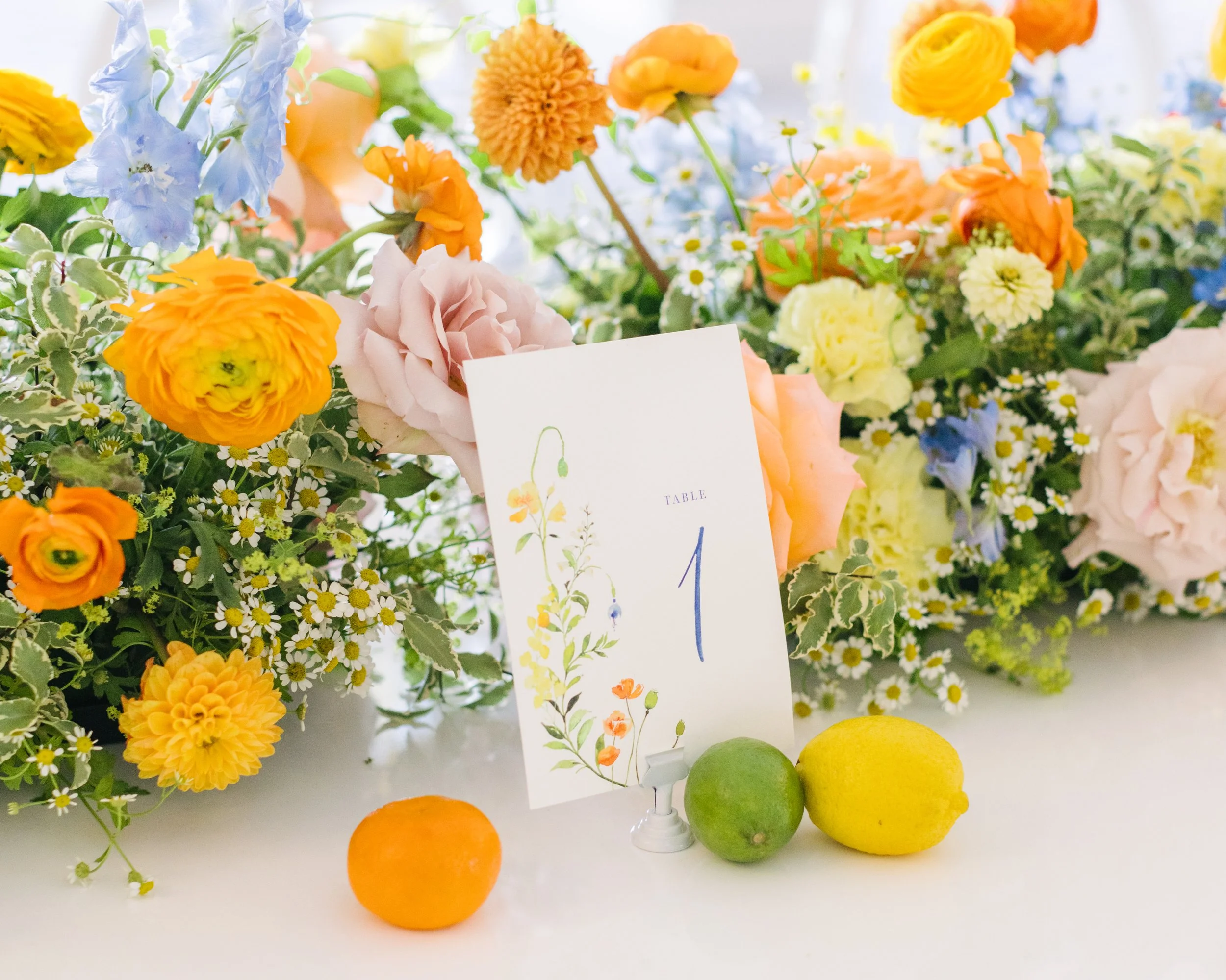 Portfolio — Blushing Fields