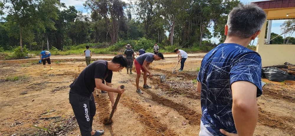 Gallery — Netafarm