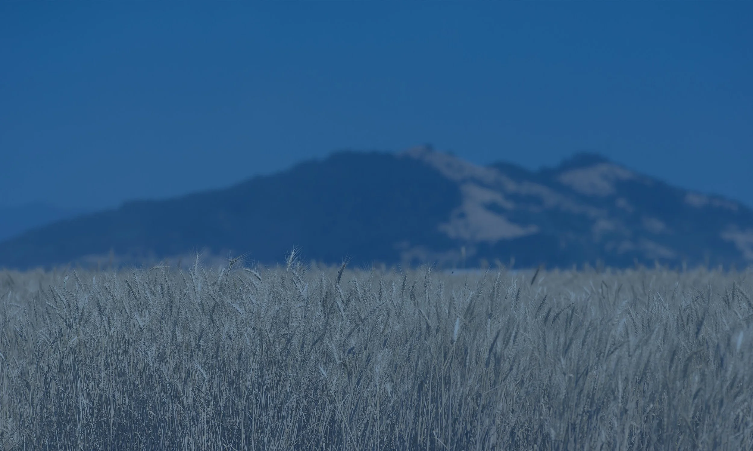 Representative Shelly Boshart Davis