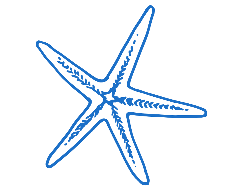 Commercial and Residential Expert Pool Builder in Hawaii