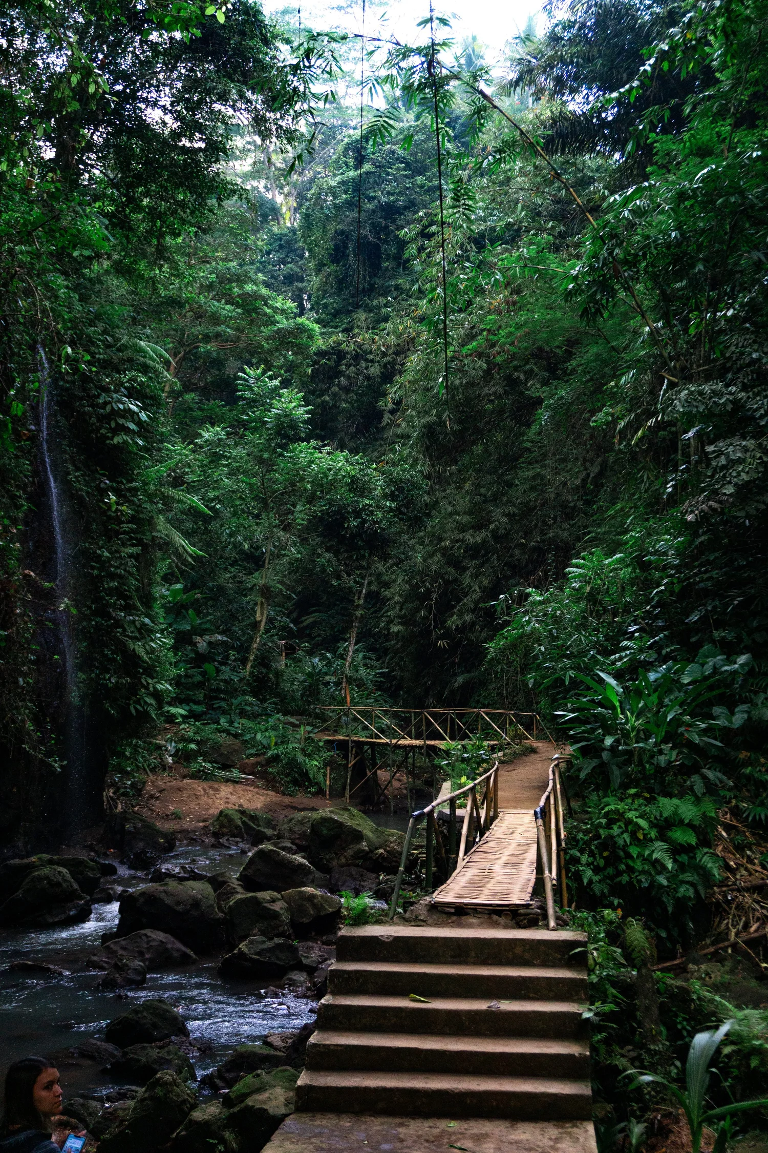 Ubud Travel Guide - A Bustling City Tucked Away in Bali's Lush Jungles ...