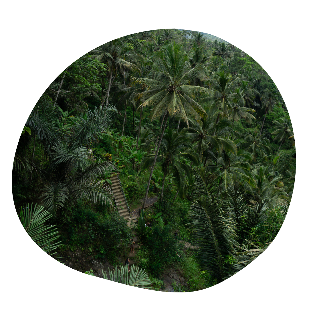 Sidemen Travel Guide — Bohemian Bela