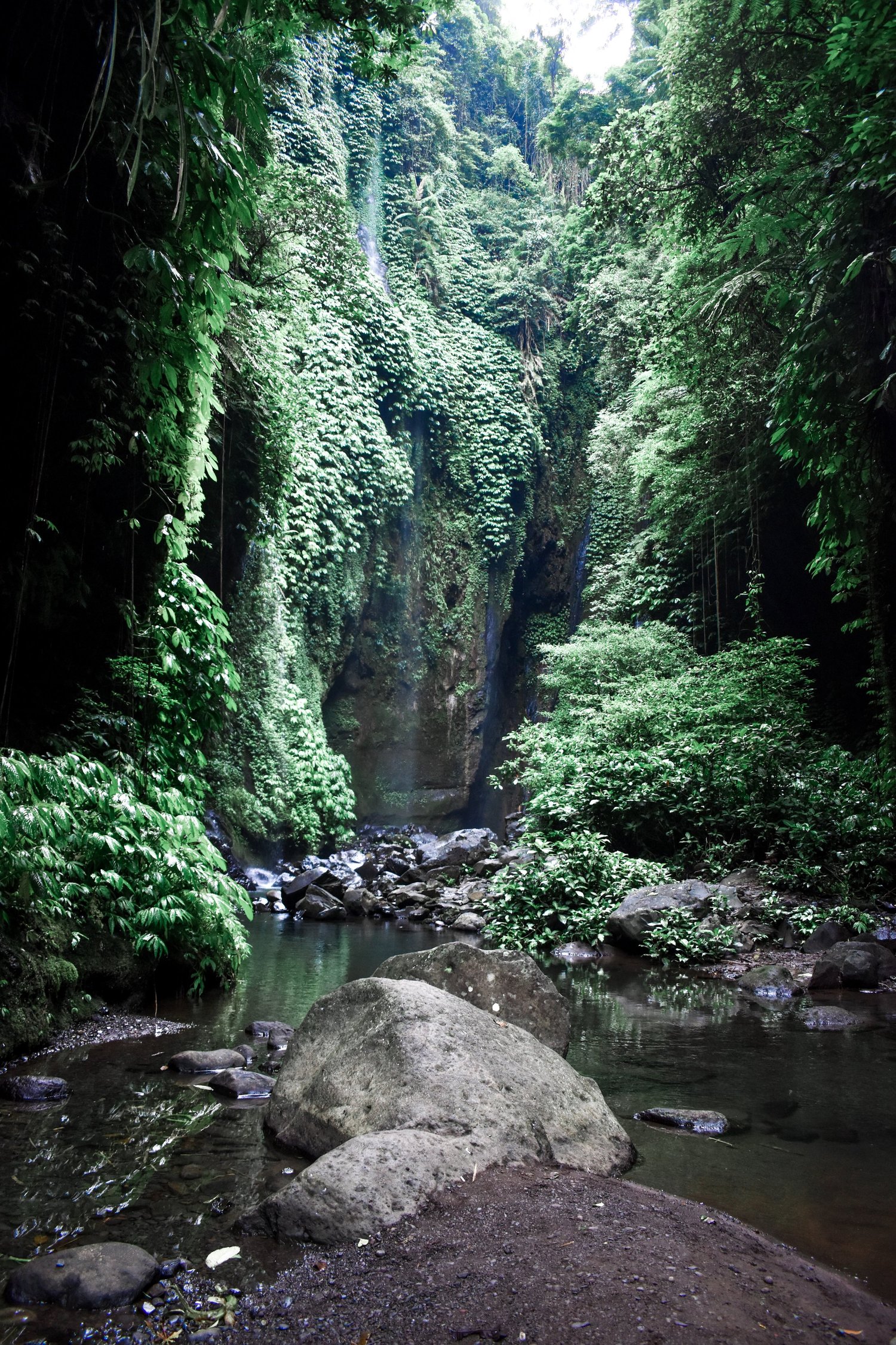 Munduk - The Most Underrated Spot in all of Bali — Bohemian Bela