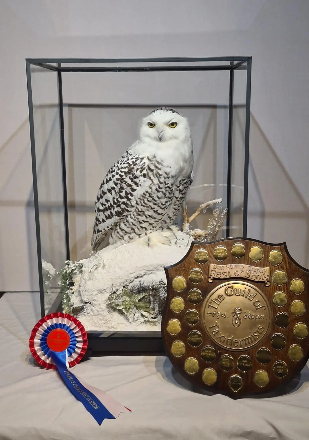 Steve Smith Taxidermy