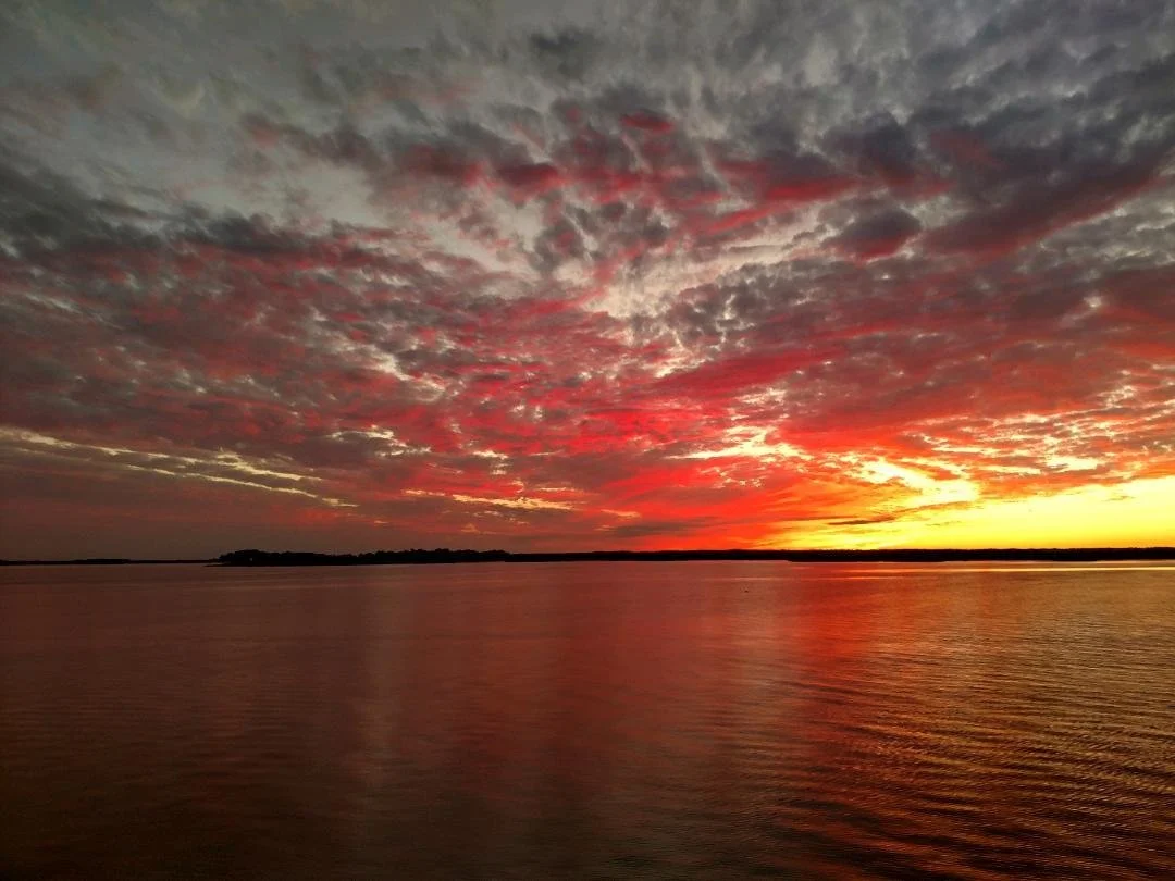 Gallery 1 — Explore Sapelo