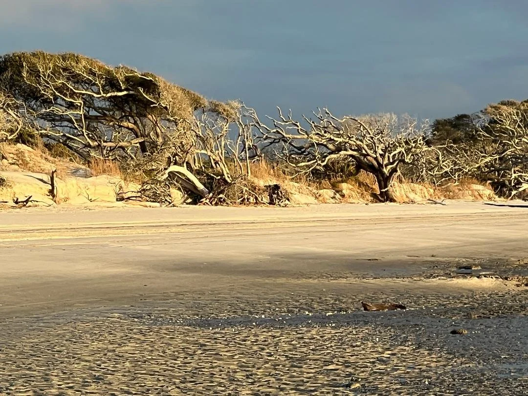 Gallery 1 — Explore Sapelo