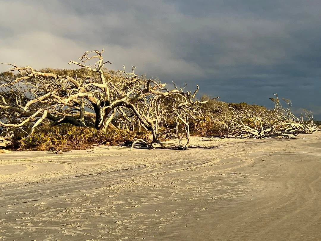 Gallery 1 — Explore Sapelo